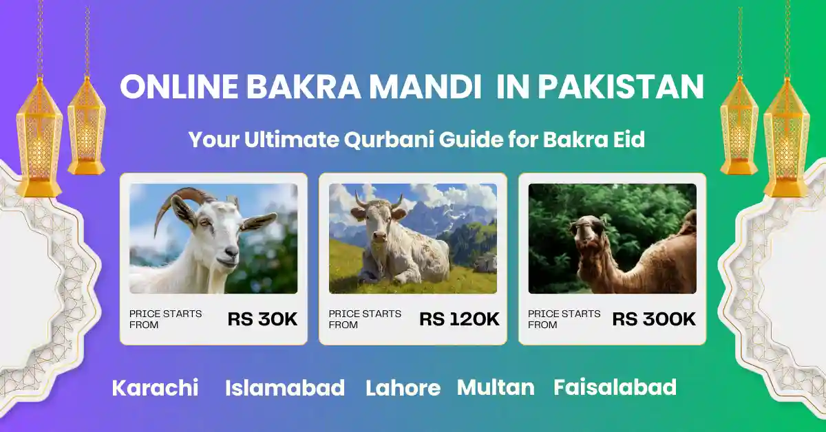 Online Bakra Mandi Pakistan 2025 – Buy Qurbani Janwar City-Wise